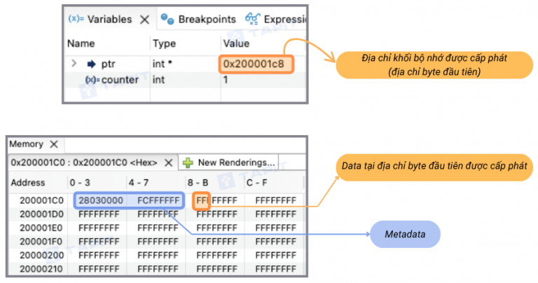 RAM MEMORY: Cấu trúc và chức năng của phân vùng Heap và Stack